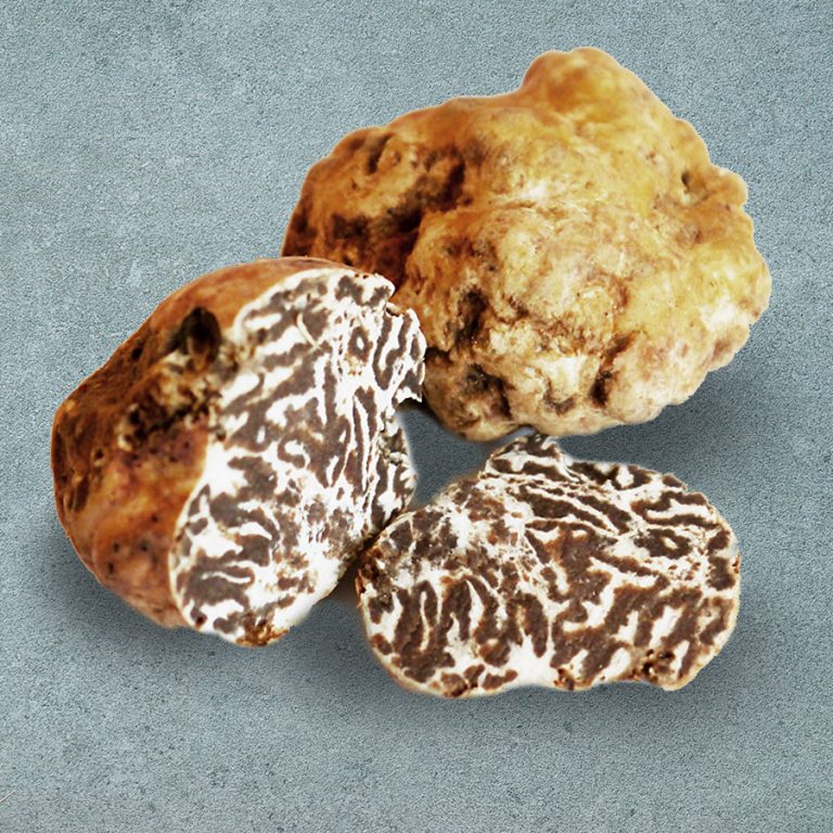 Trüffel vom Hof | Garantiert frische Trüffel aus der Schweiz.